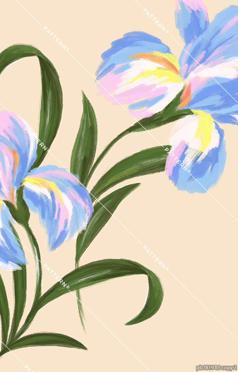 Pb7819 Pattern Textiles